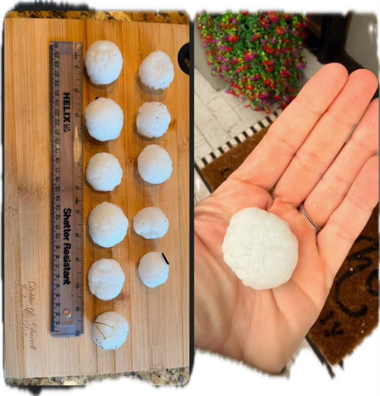 June 8, 2026 Denver Hail Storm Report: What Homeowners Need to Know ...